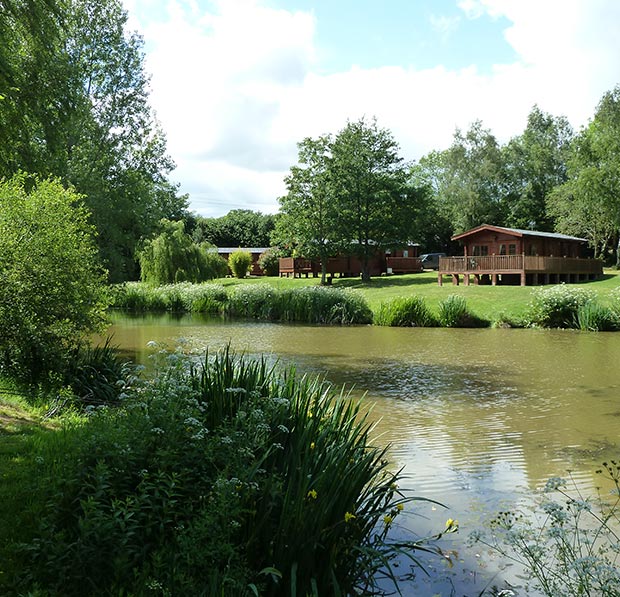Fishing at Lake Farm | New Forest country Fishing holidays
