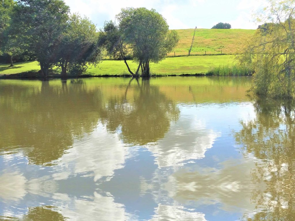 Lake Farm | Log cabin self catering family holidays in the New Forest